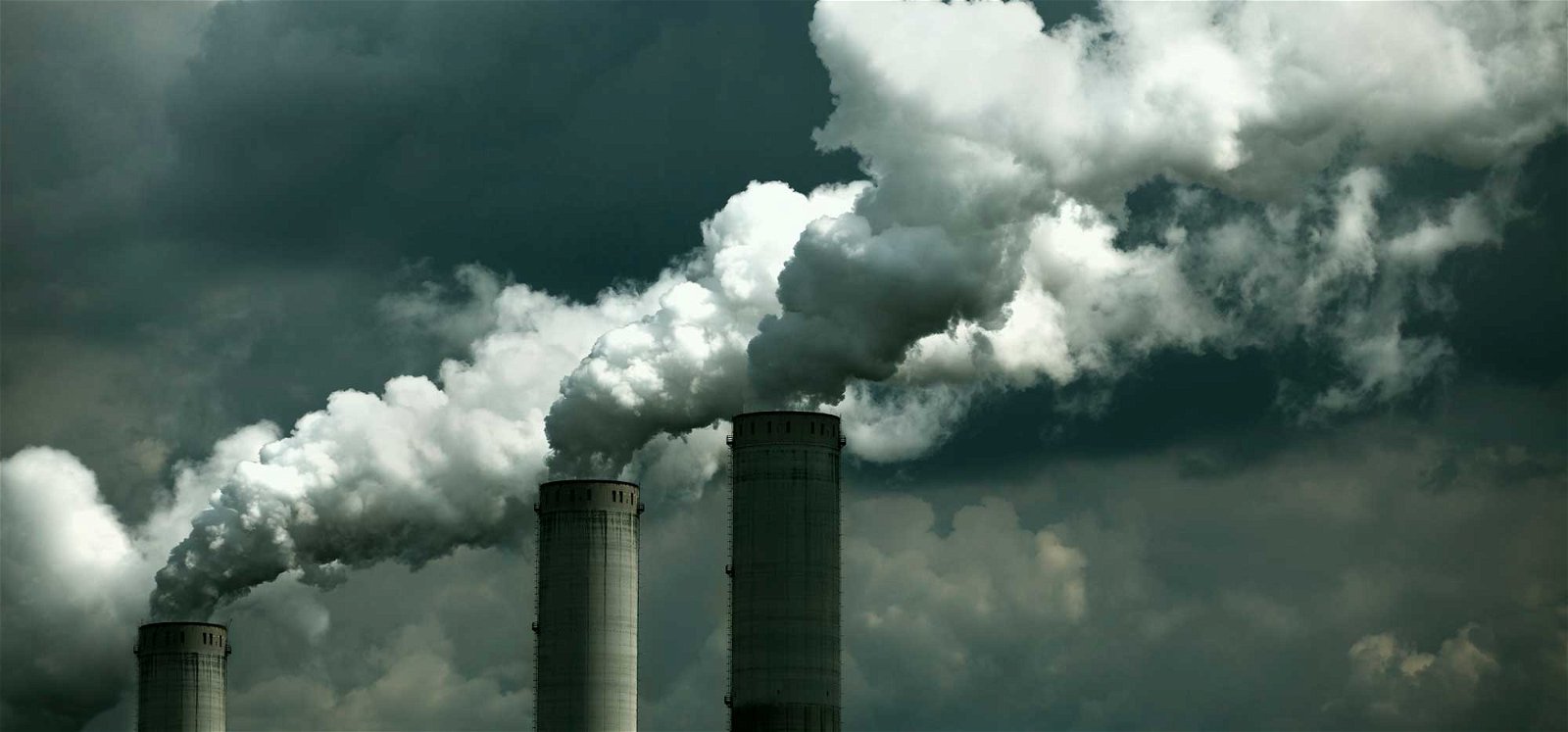 Infographic: The Environmental Impact of the Internet | Kualo